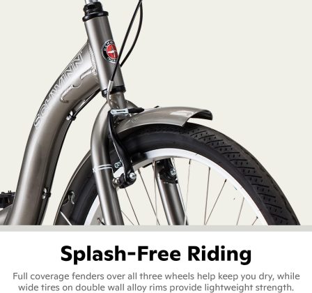 Schwinn Meridian Tricycle Bike Review - BikeGET | The Best Cruiser ...