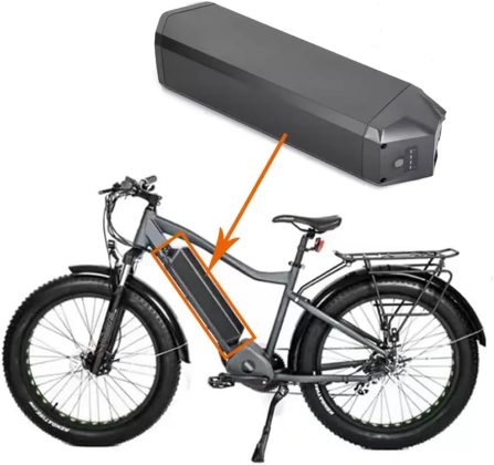 Reention Dorado Plus 48V 16Ah Ebike Battery Pack Review - BikeGET | The ...
